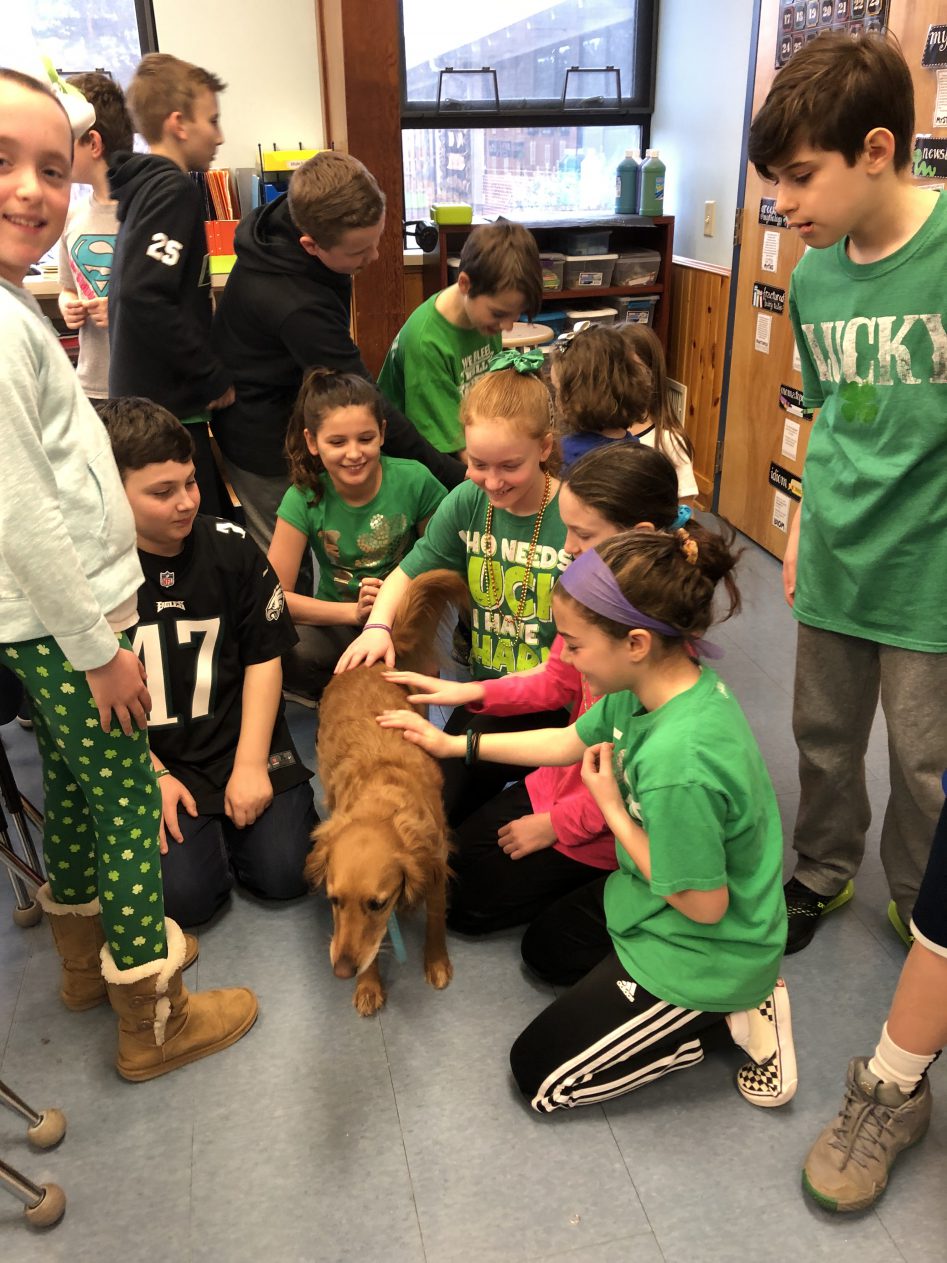 Learning about Service Dogs – Saint Helena School